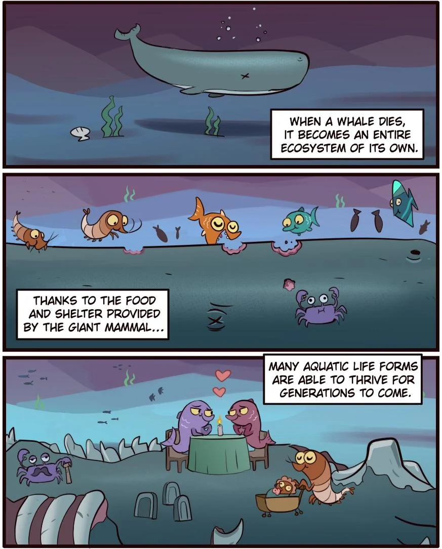 Whale Fall - MoringMarkArchive - MoringMark Archive